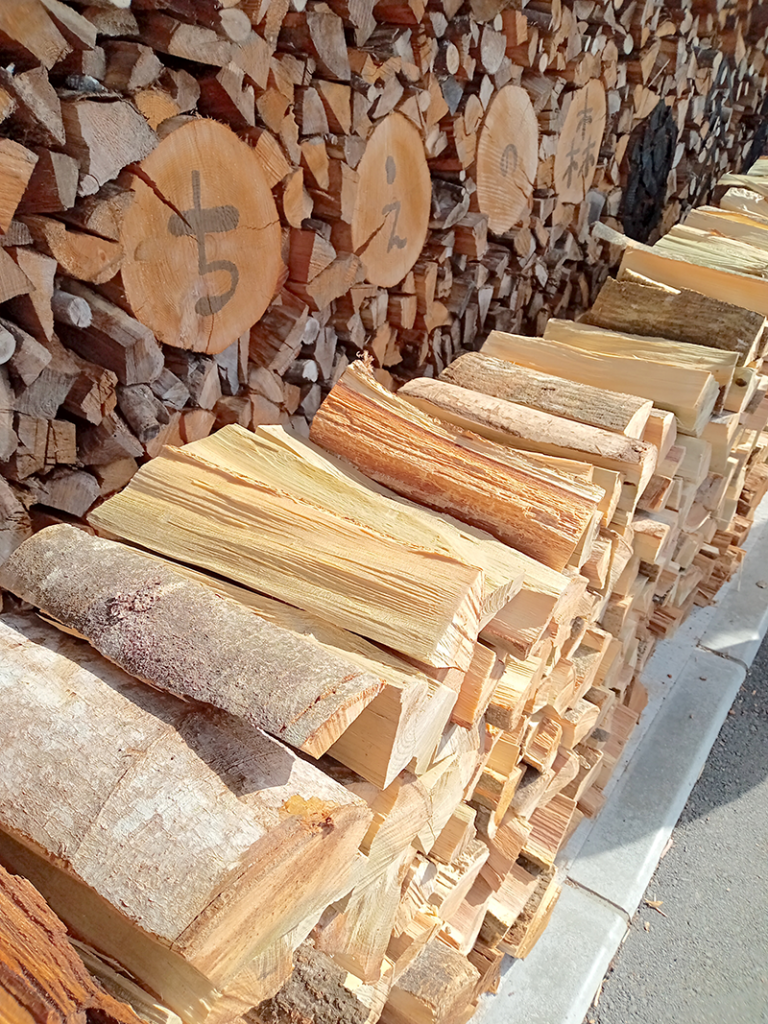 11/20 野外実習「薪割り体験〜図書館の薪ストーブ用に薪を割ってみよう！〜」 | 智頭の山人塾